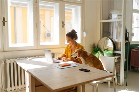 ADA Compliance What It Means To Be ADA Compliant For Websites