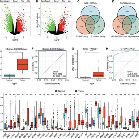 scrna seq analysis of the gse162454 dataset a umap plot of different