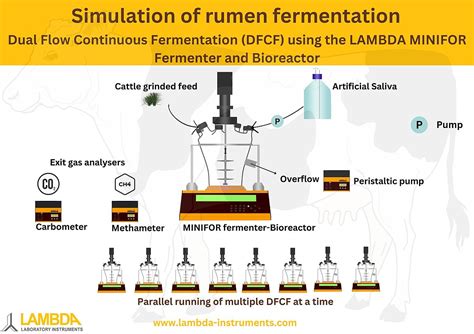 Dual Flow Continuous Culture Sysem For The Simulation Of Rumen Fermentation Using The Lambda