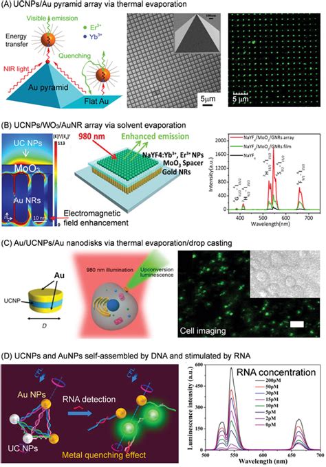 Metal Enhanced Quenched Upconversion Luminescence A The Enhancement