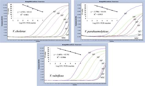 Multiplex Real Time Polymerase Chain Reaction Assays For Simultaneous Detection Of Vibrio