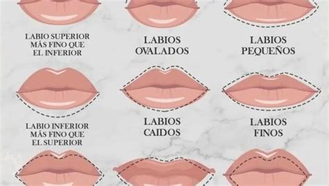 Diferentes Tipos De Labios Labios Fijados Boca Mujer De Cerca Con