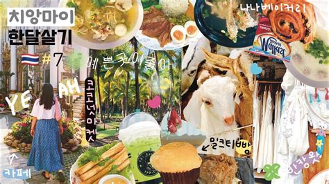 부모님과 치앙마이 한달살기 여행 7 🇹🇭 분위기 최고봉 코코넛마켓🌿 반캉왓 존예카페 베르사유드 플로레 마야몰 족발덮밥 크레이지누들 밀크티빵 산티탐