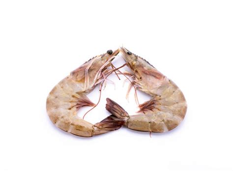 รูปภาพVannamei – เลือกดูภาพถ่ายสต็อก เวกเตอร์ และวิดีโอ644 | Adobe Stock