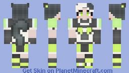 Radio Minecraft Skin