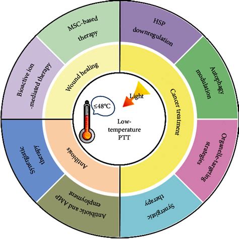 Low Temperature Photothermal Therapy Strategies And Applications Pmc