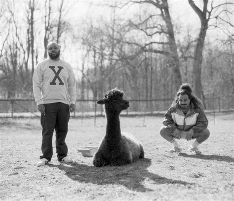 Cracks In The Normal A City Drowned In Gods Black Tears By Infinity