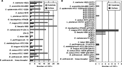 Sortase Homologs And Substrates Identified In Silico From Gram Positive