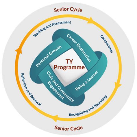 Transition Year Curriculum Online
