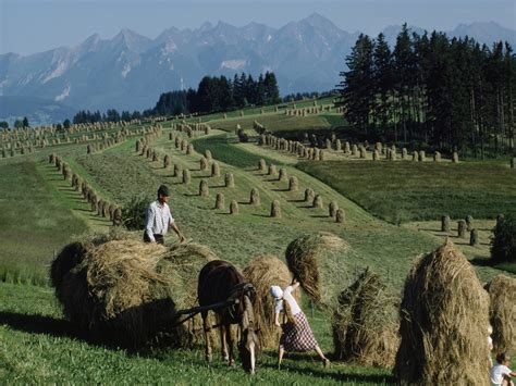 Rural Community Definition Rural And Urban Areas Comparing Lives
