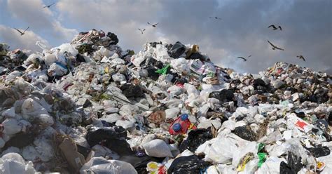 Irelands Wild Waste Shows Us Just How Filthy Lucre Can Be The Irish Times