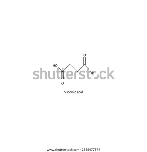 Succinic Acid Skeletal Structure Diagramaliphatic Acid Stock Vector