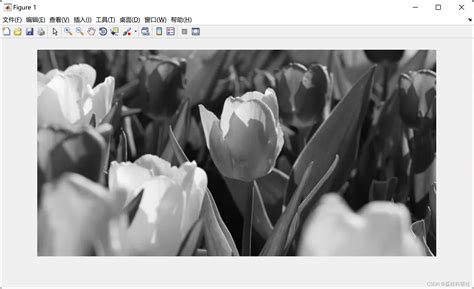 基于多尺度形态学梯度进行边缘检测（matlab代码实现）多尺度边缘检测 Csdn博客