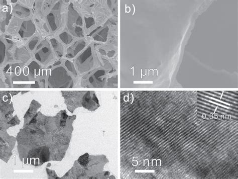 morphology of the tio2 interconnected porous powder a sem image with download scientific