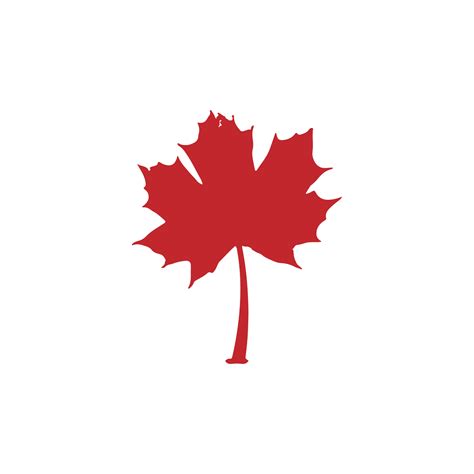 Evergreen Leaf Illustration Png Leaf Silhouette Png Leaves Png