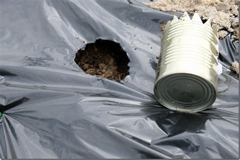 100均 マルチシートとマルチ押さえ・自作の穴あけ器