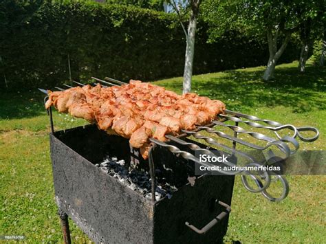 전통적인 리투아니아 여름 음식 Saslykai 여름에 바베 큐 그릴에 굽고 건강한 식생활에 대한 스톡 사진 및 기타 이미지