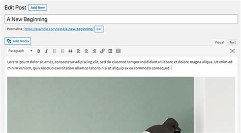 How to Fix WordPress Updating Failed / Publishing Failed Error