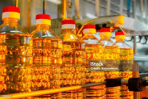 해바라기 기름 해바라기 씨에서 정제 오일의 생산 및 충전의 공장 라인 식품 산업의 공장 컨베이어 0명에 대한 스톡 사진 및 기타