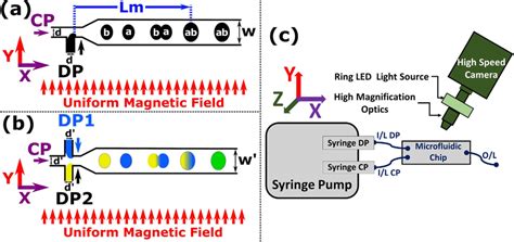 Schematic Of Uniform Magnetic Field Induced Merging Of A Ferrofluid