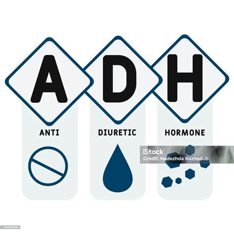 Adh Akronim Hormon Antidiuretik Ilustrasi Stok Unduh Gambar Sekarang