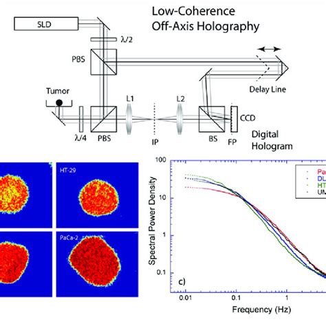 A Lowcoherence Off Axis Digital Holography System That Captures Download Scientific Diagram