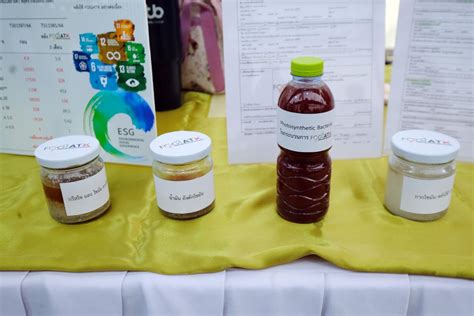 ภาพงานเกษตรแฟร์ 2567 โซน H นวัตกรรมและงานวิจัย หน้าอาคารจักรพันธุ์เพ็ญศิริ โดมแอร์ H1 Ifrpd