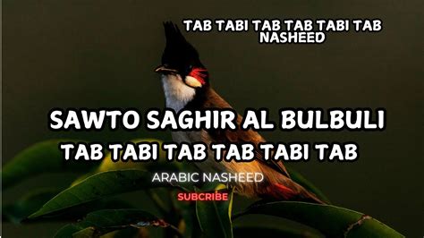 Sawto Saghir Al Bulbuli Tab Tabi Tab Tab Tabi Tab Nasheed The Most Epic Arabic Nasheed Youtube
