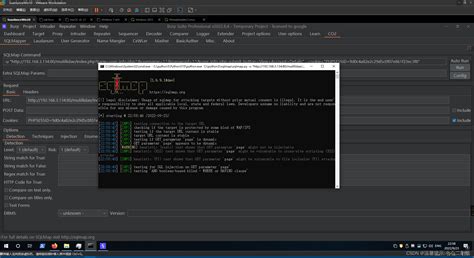 burp suite co2 使用方法 完整渗透过程 sql 温馨提示 小心二刺螈 2048 ai社区