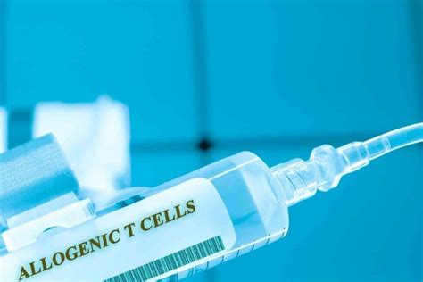 T Cell Therapy Helps Overcome Stem Cell Transplant Viral Infections
