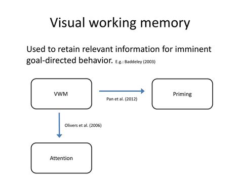 Surya Gayet Chris Paffen Stefan Van Der Stigchel Ppt Download