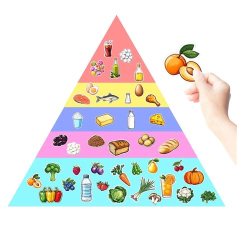 Магнитна дъска Пирамида на здравословното хранене