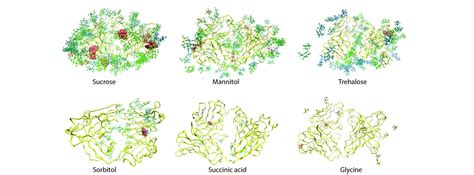 Ranking Mab Excipient Interactions In Biologics Formulations By Nmr Spectroscopy And
