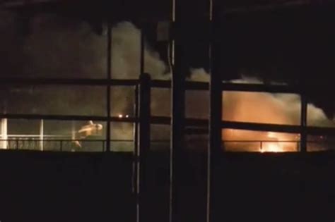 Texas Dairy Farm Blaze Leaves 20k Cattle Dead One Worker Injured