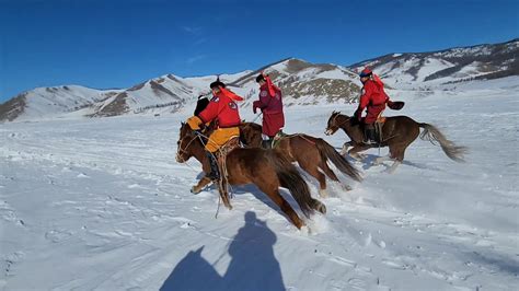 Монгол дээл хувцсаараа гоёод морь сайхан унадаг найзуудаа Mention