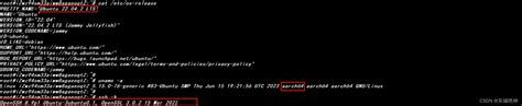 《linux运维总结：arm64架构基于ubuntu 22042之openssh89升级版本至97》 Csdn博客