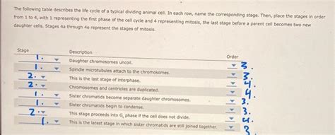 solved the following table describes the life cycle of a