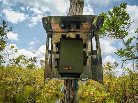 Getting To Know Bioacoustics Borneo Nature Foundation