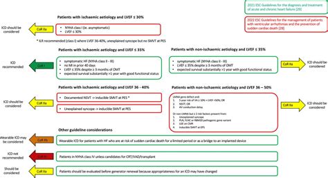 Primary Prevention Implantable Cardioverter Defibrillators For Patients