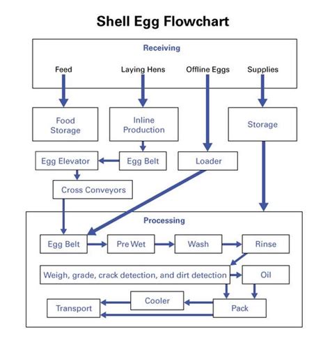 Haccp Food Flow Chart