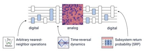 Caesium Quantum Gas Microscope