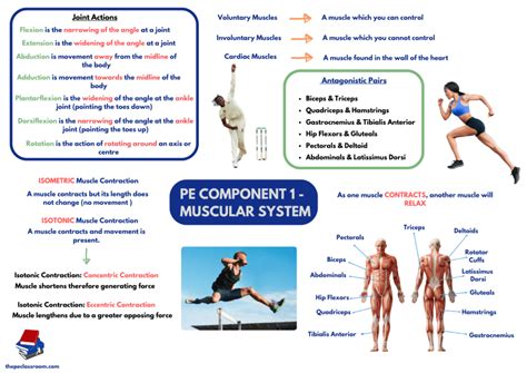 Pe Cheat Sheets Download The Pe Classroom