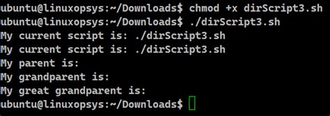 Get The Current Script Directory In Bash