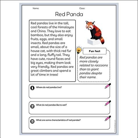 Red Panda Reading Passage Comprehension Questions Writing Facts Work