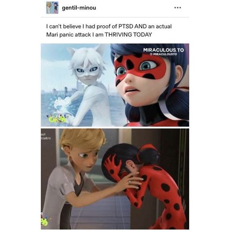 Pin By Nola Gene On Ladybug Miraculous Ladybug Funny Miraculous