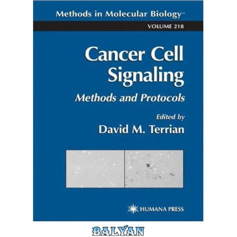 خرید و قیمت دانلود کتاب Cancer Cell Signaling Methods And Protocols ترب