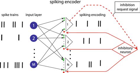 Spiking Encoder Architecture Download Scientific Diagram