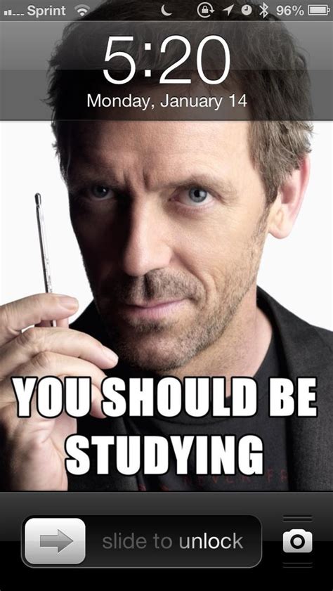 Studying Meme