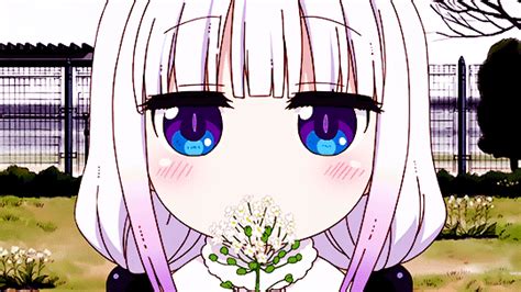 Kobayashi San Chi No Maid Dragon Imagenes Kobayashi San Anime Dragon
