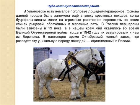 Семь чудес Ульяновской области презентация онлайн